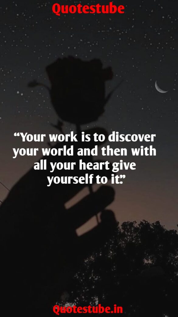 Best Understanding Quotes On Love, Life, Relationship