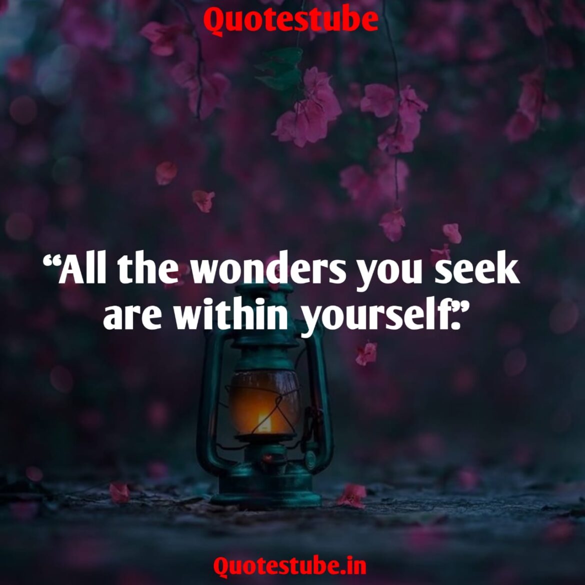 Best Understanding Quotes On Love, Life, Relationship