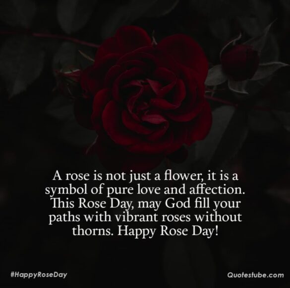 Happy Rose Day 2024 Wishes, Images, Greetings, Status