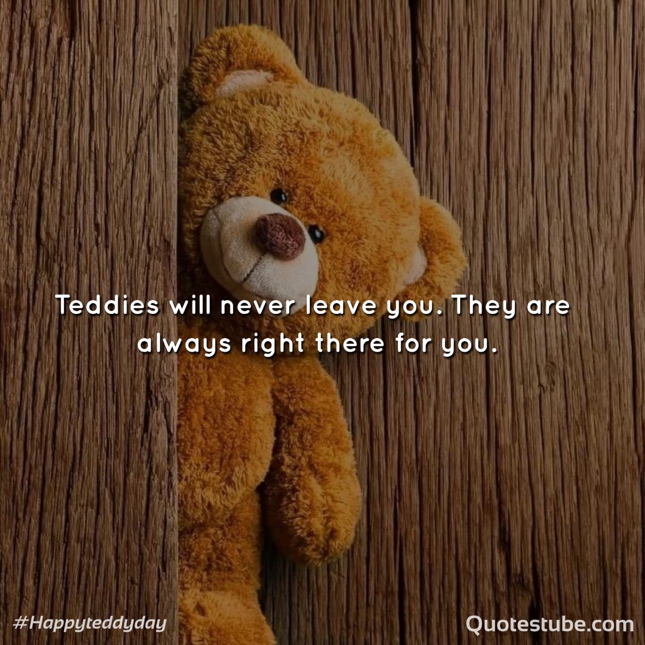 Teddy Day Quotes, Wishes, Status, Messages & Greetings | 2024